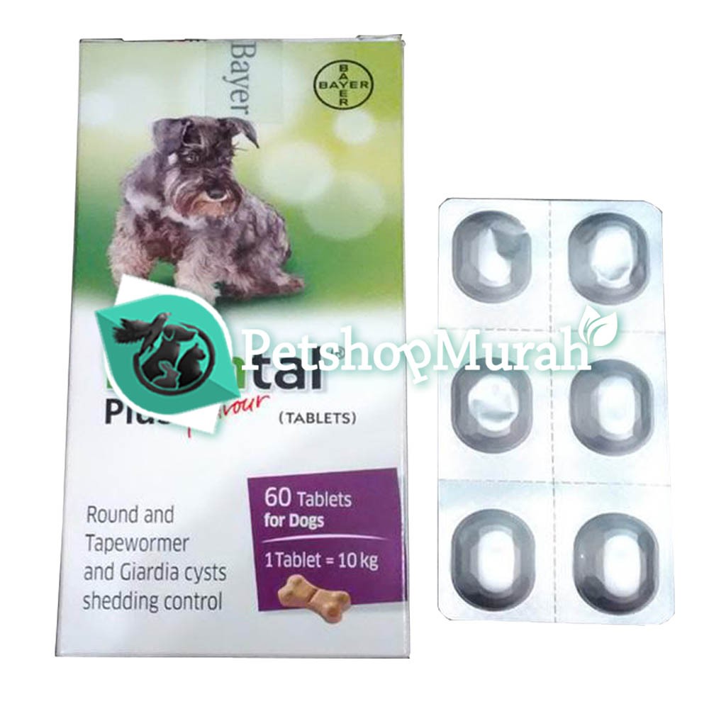 Jual Obat Cacing Anjing - Drontal Dog Pertablet | Shopee Indonesia