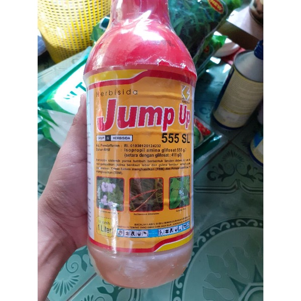 Jual Herbisida JUMP UP 555 SL | Shopee Indonesia