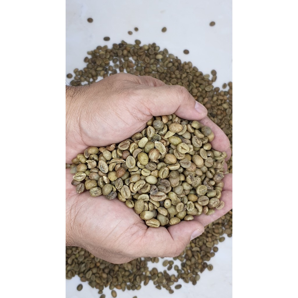 Jual Kopi Robusta Green Bean Talamau Natural 1kg Mattin Coffee | Shopee ...