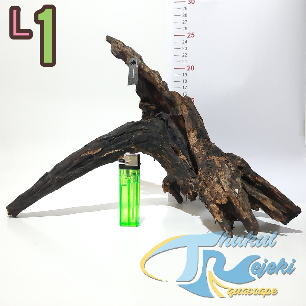 Jual Kayu Rentek Aquascape dan Reptil Ukuran L Rasamala Jati Tenggelam ...