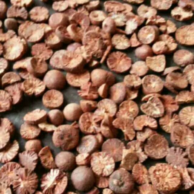 Jual Pinang kering 500 gram | Shopee Indonesia