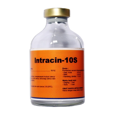 Jual Intracin oxytocin perlancar air susu kelenjar mamae ternak sapi ...
