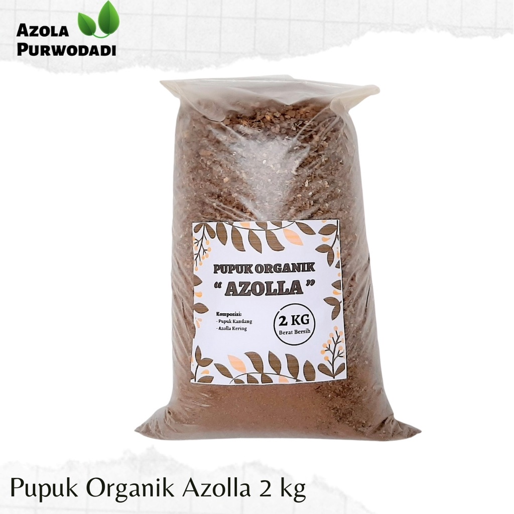 Jual Pupuk Organik Azolla 2 kg Bonus Wadah Pupuk | Tas Pouch 25x30 cm ...