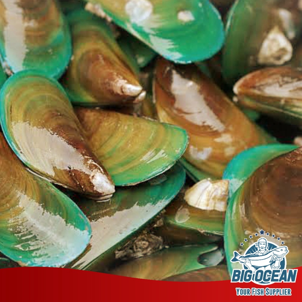 Jual Kerang Ijo | Green mussel Frozen @500gr | Shopee Indonesia