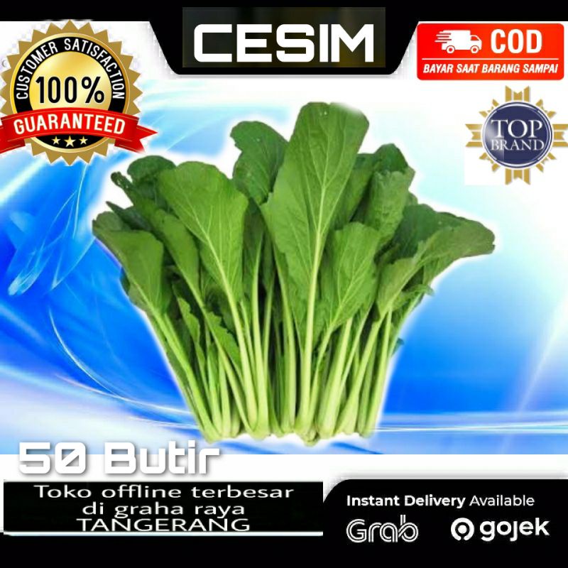 Jual Benih Sawi / Caisim / Sesin / Cesim Unggul Cepat Semai | Shopee ...