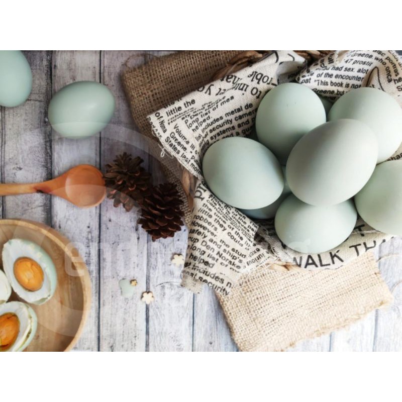 Jual TELUR BEBEK ASIN MATANG 1 Pack ( isi 20 butir) | Shopee Indonesia