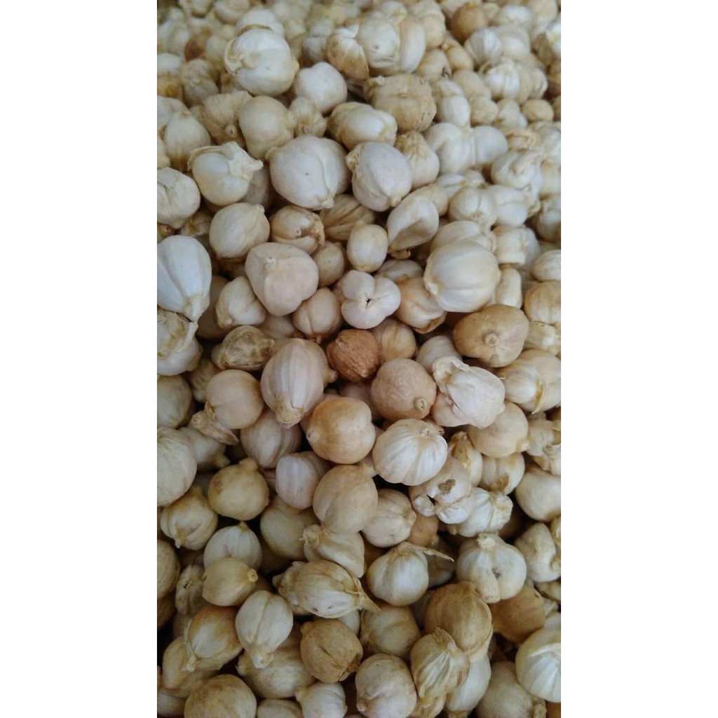Jual kapulaga 50gram / cardamon white / kapol / Kapolaga | Shopee Indonesia
