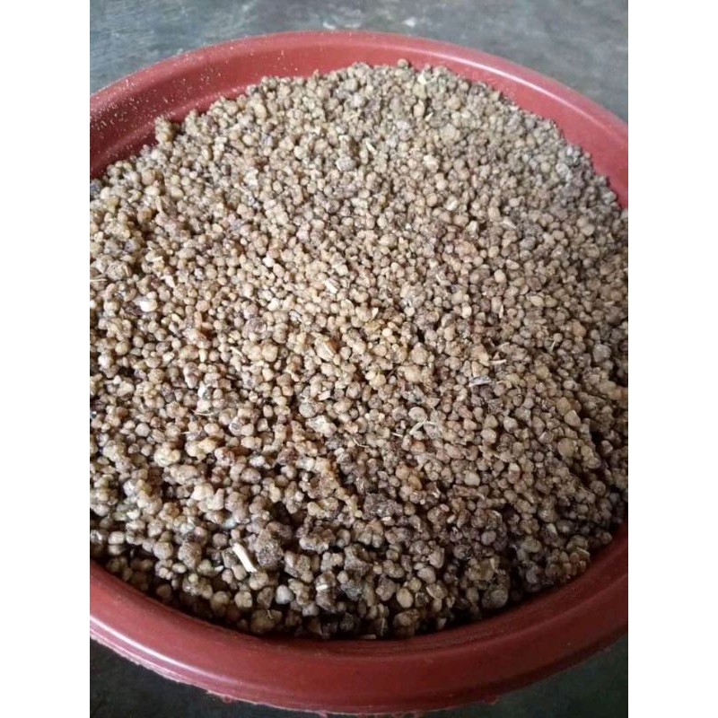 Jual tiwul gaplek singkong 1kg | Shopee Indonesia