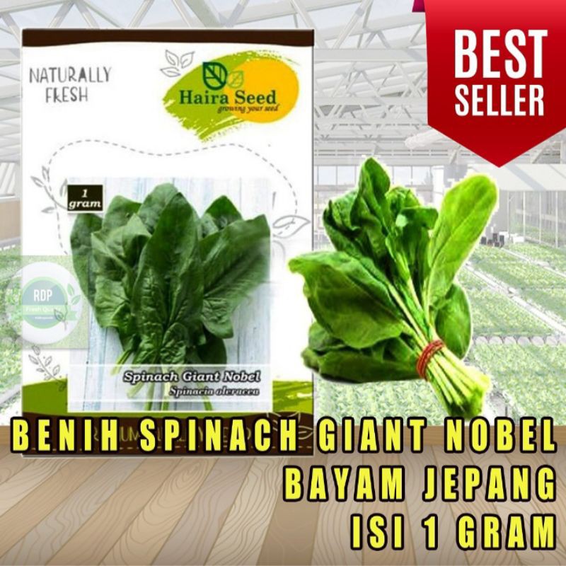 Jual Benih Bayam Jepang Spinach | Shopee Indonesia