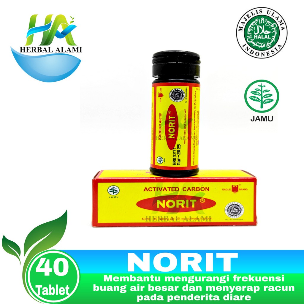Jual NORIT Cap Lang Karbon Aktif - Obat Diare Perut Kembung | Shopee ...