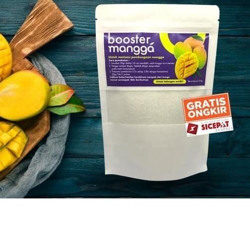 Jual ☼ PUPUK BOOSTER MANGGA PUPUK MANGGA PUPUK BUAH MANGGA 100% AMPUH ...