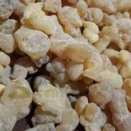 Jual luban menyan kemenyan arab | Shopee Indonesia