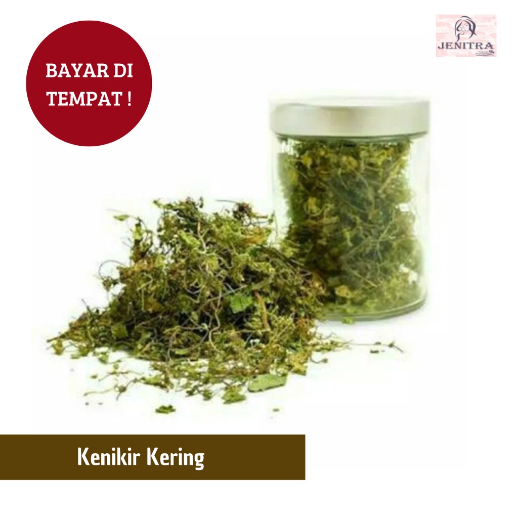 Jual Daun kenikir kering berkualitas - 1 kg (Bisa COD) | Shopee Indonesia