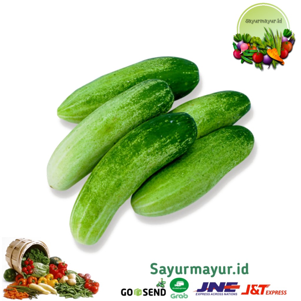 Jual TIMUN SAYURAN PER 1/4 (250 GRAM) | Shopee Indonesia