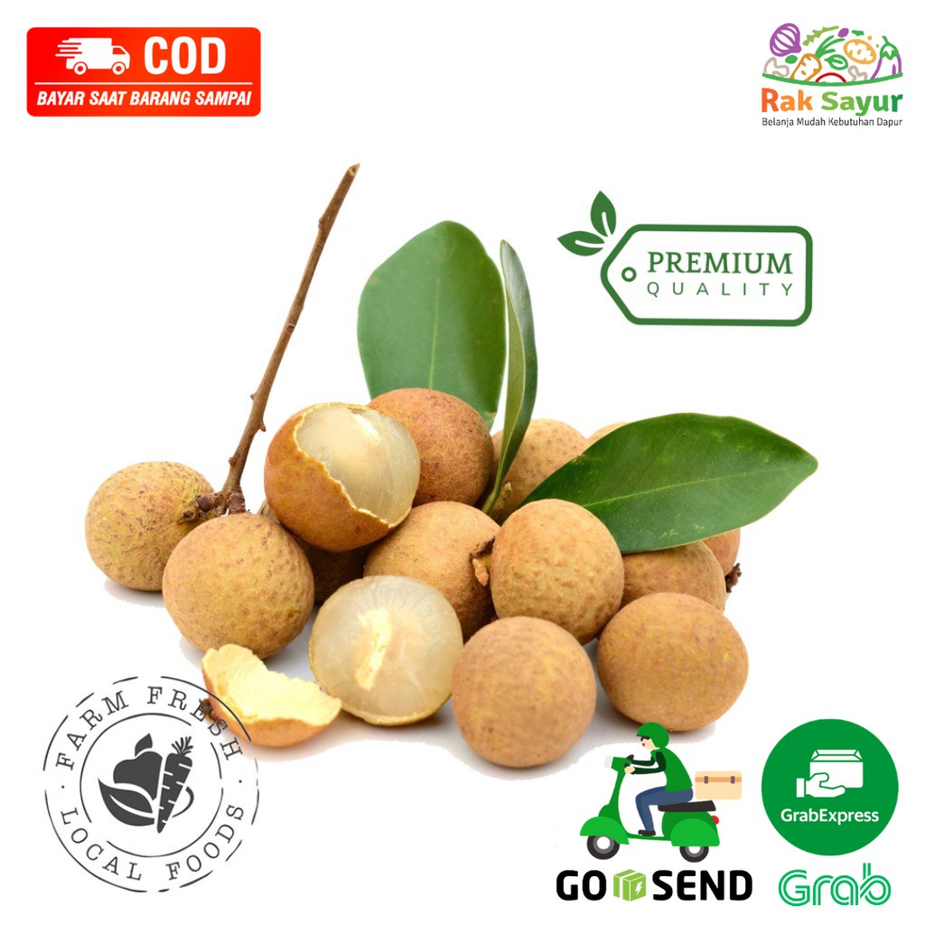 Jual Buah Lengkeng 500gr Manis Buah Manisan Fresh Rak Sayur Padang ...