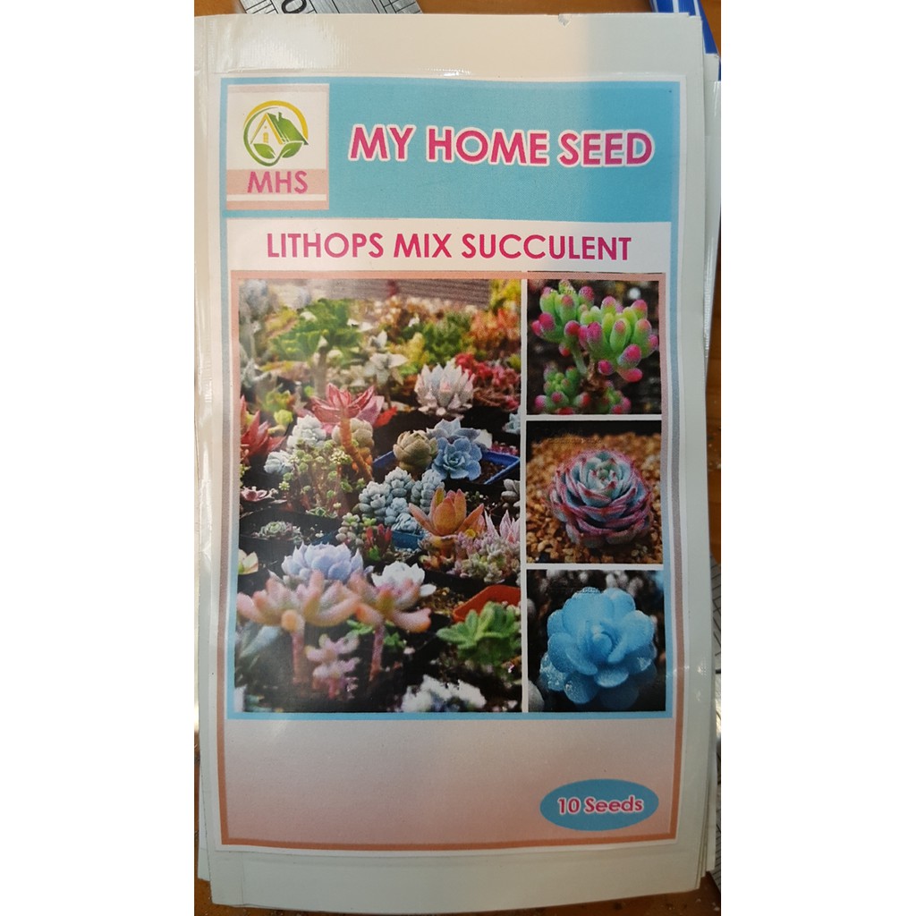 Jual benih / bibit Lithops mix succulent (MHS) | Shopee Indonesia