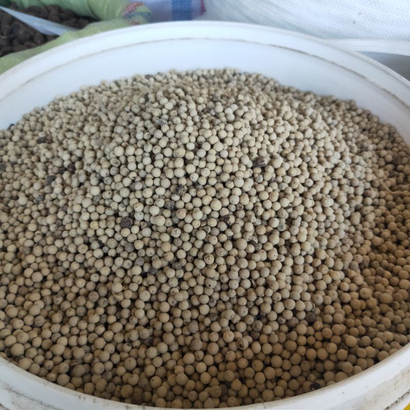 Jual Merica butir, Merica Bulat, Lada Putih 1KG(1000gram) | Shopee ...