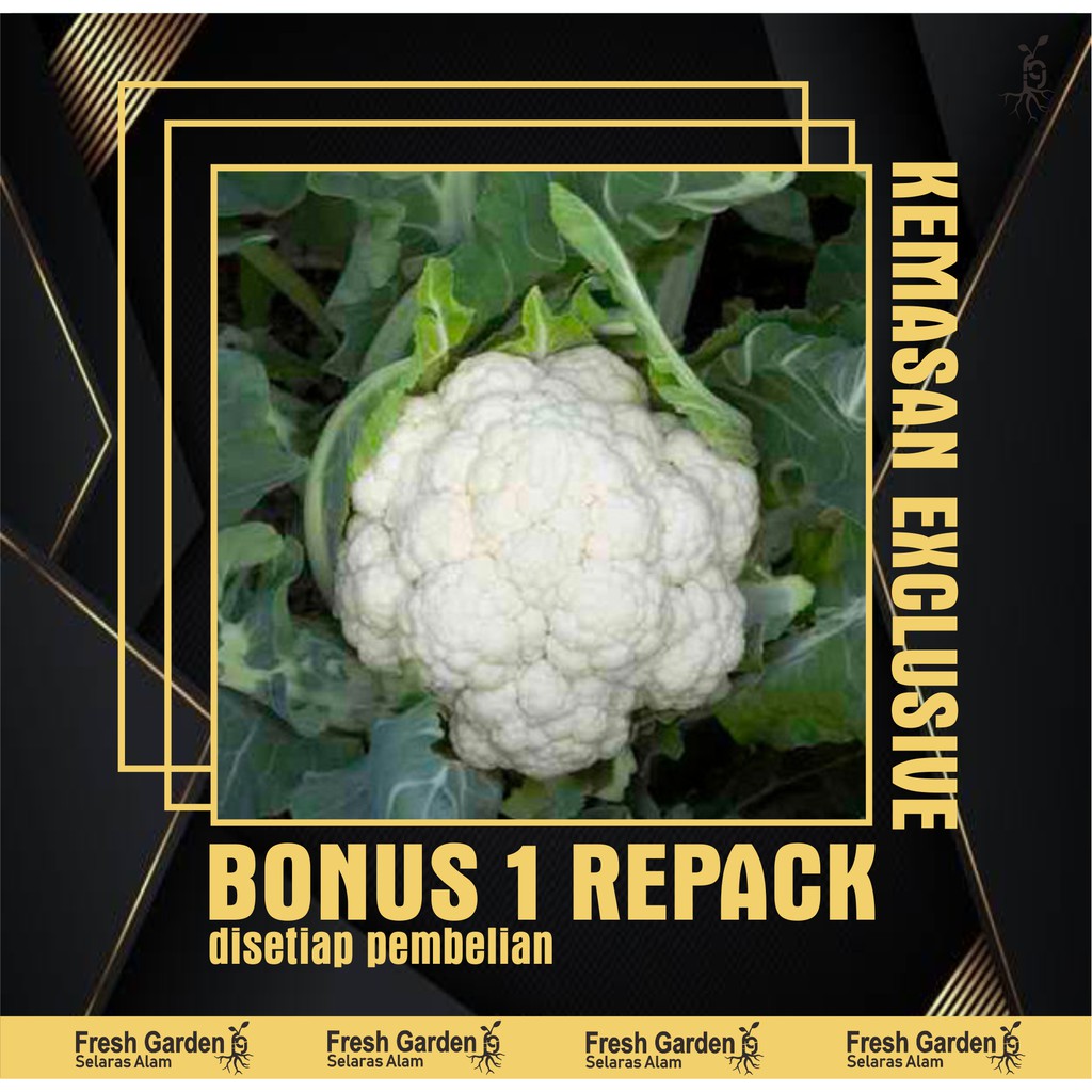 Jual 25 Biji Benih Bunga Kol DIAMOND UNGGUL | Shopee Indonesia
