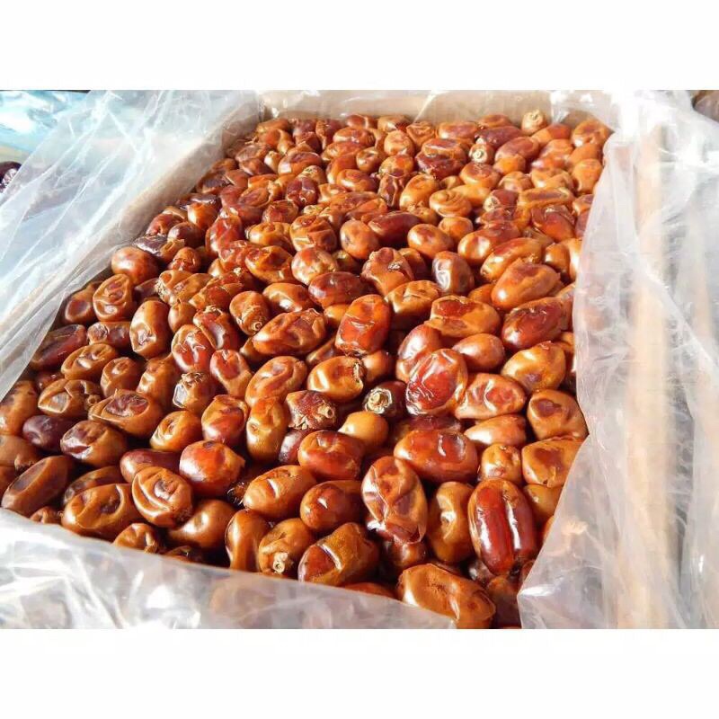 Jual Kurma Khalas Saad 10 Kg, exp 2027,panen terbaru | Shopee Indonesia