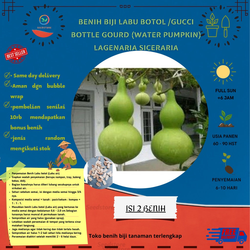 Jual 2 benih biji labu kendi /labu gucci / labu botol | Shopee Indonesia