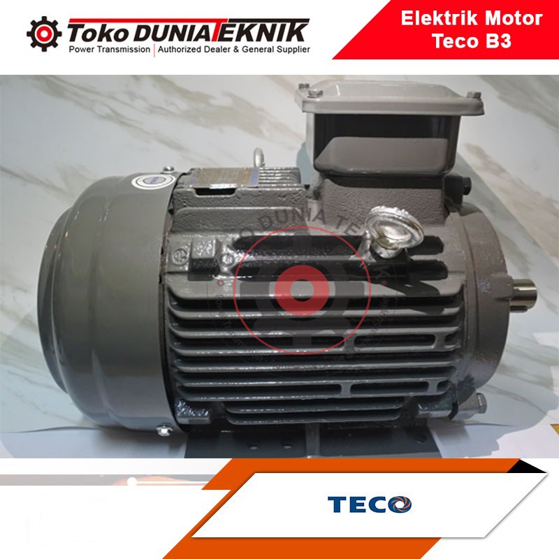 Jual AESV1S (lE1) 3HP 4 POLE 1500 RPM ELECTRIC MOTOR TECO "TERMURAH" | Shopee Indonesia