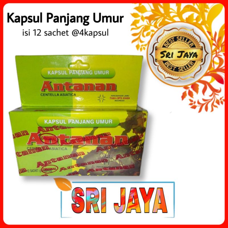 Jual Antanan Kapsul Panjang umur - Herbal asam urat berkhasiat ...