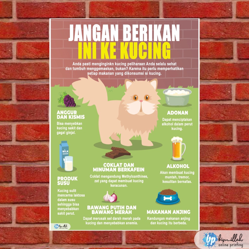 Jual Poster Kesehatan Jangan Berikan Ini Ke Kucing | Shopee Indonesia