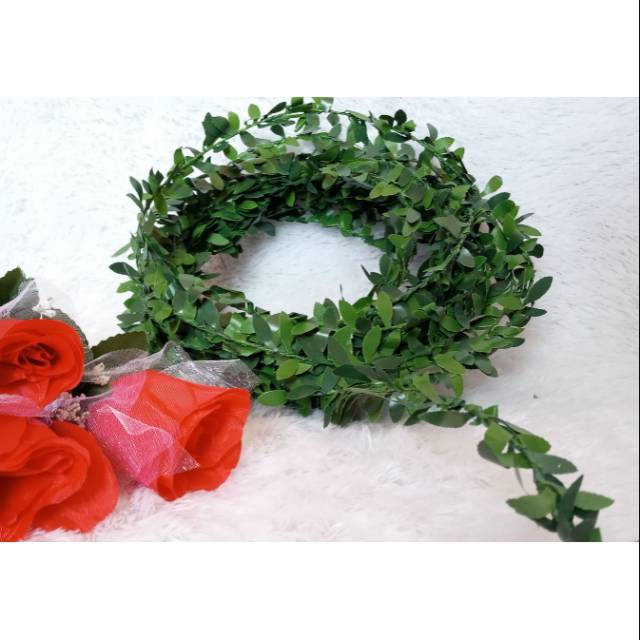 Jual KAWAT DAUN / DAUN RAMBAT | Shopee Indonesia