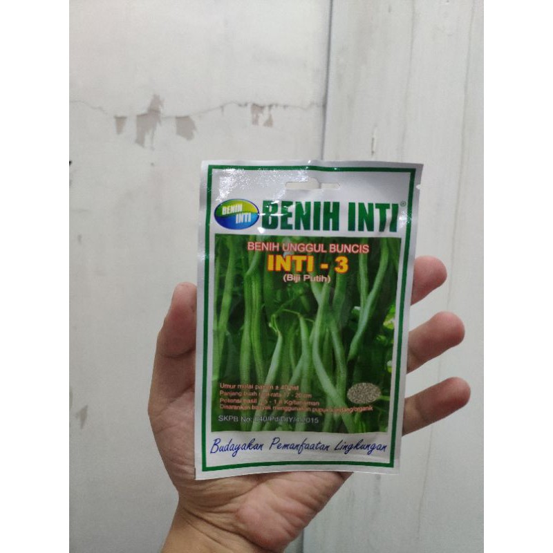 Jual Benih Buncis Inti 3 ( biji putih ) 100 gram tanaman sayur | Shopee ...