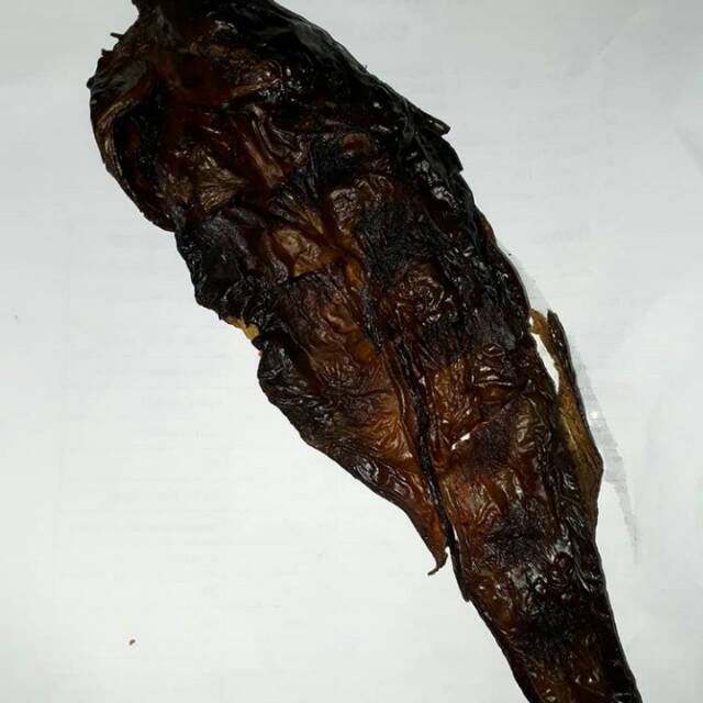 Jual IKAN SEMBILANG/IKAN ASAP /BERKUALITAS/MURAH | Shopee Indonesia