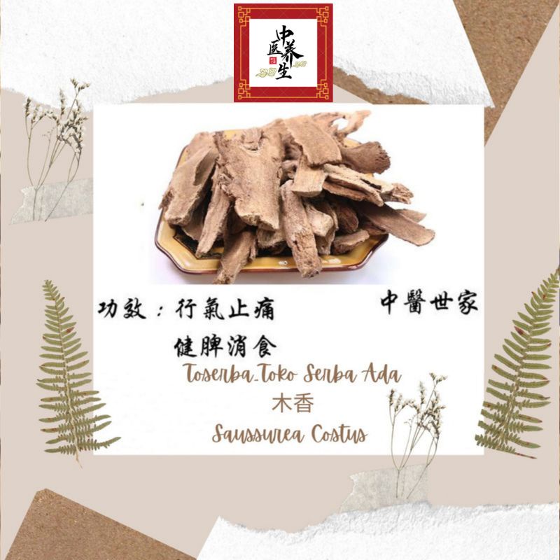 Jual 100gr Herbal Mu Xiang 木香 Costus Root / Aucklandia Lappa ...
