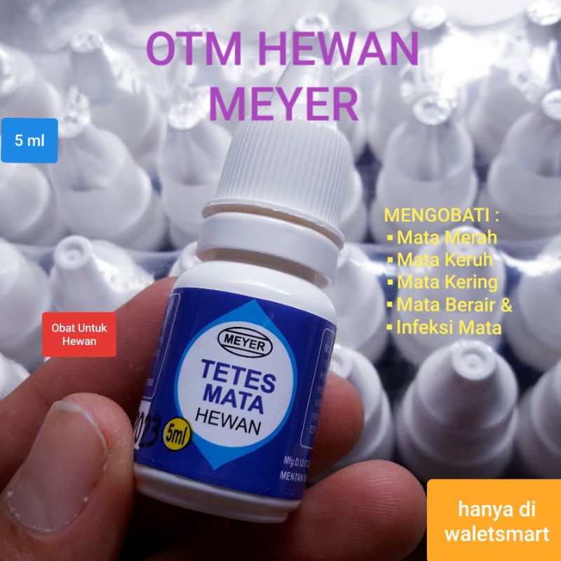 Jual Obat Tetes Mata Hewan MEYER Infeksi Iritasi Mata Kelinci Kucing ...