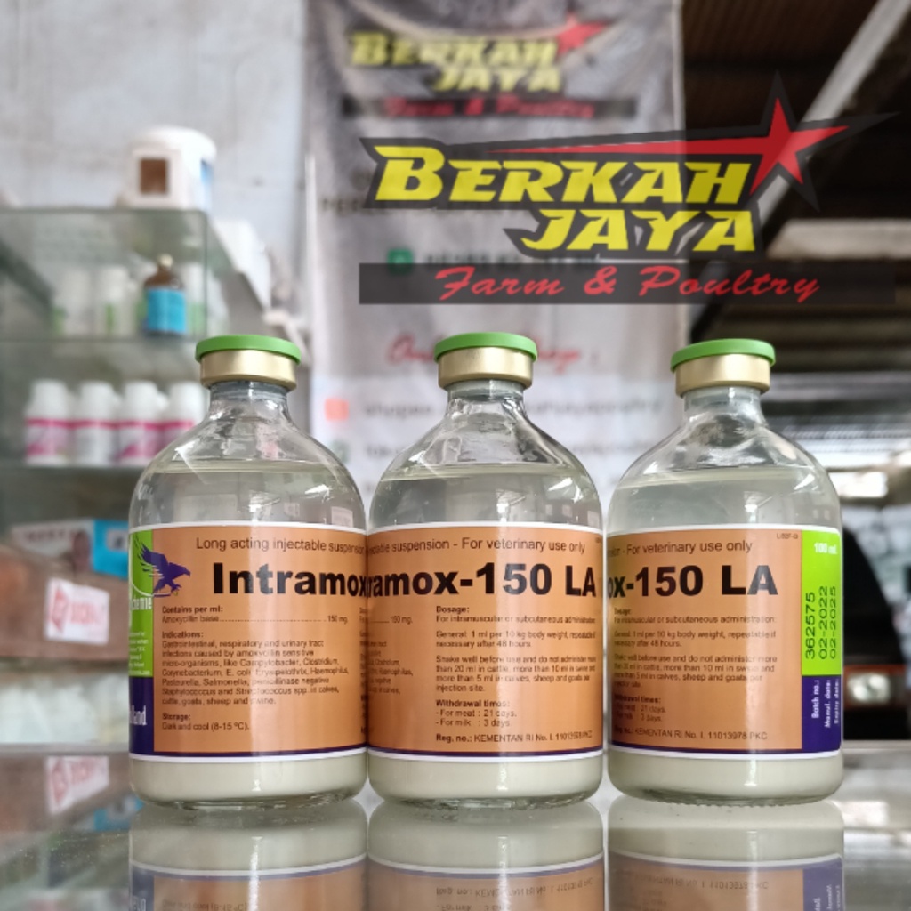 Jual INTRAMOX 150 LA Amox inject Obat Hewan 100ml | Shopee Indonesia