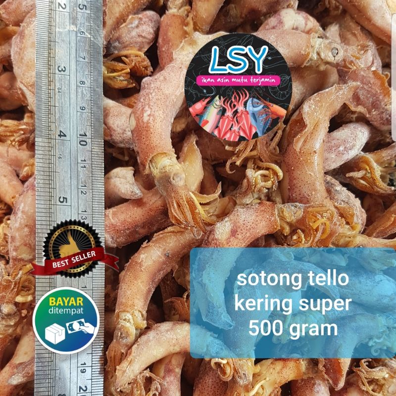 Jual ikan asin cumi sotong jarum telur /sotong kering super 500gram ...