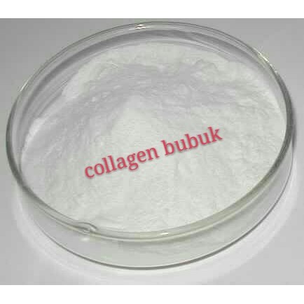 Jual Hydrolyzed Collagen Bubuk Ikan 1 kg | Shopee Indonesia