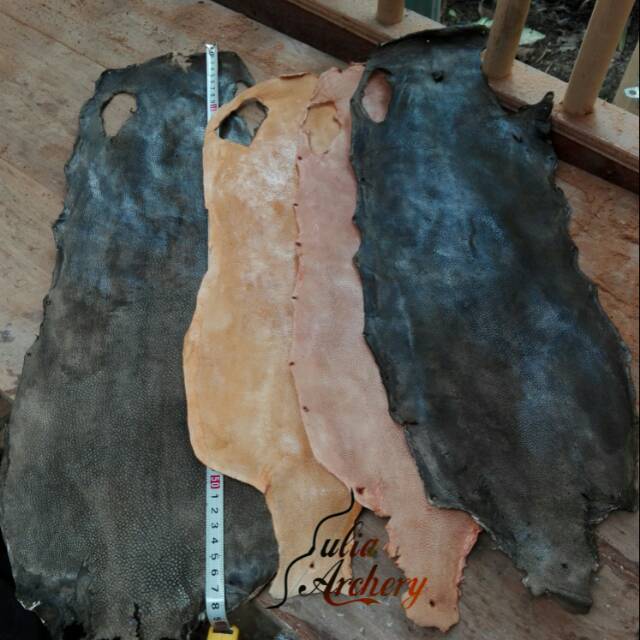 Jual Kulit Ikan Pari Polish Mondol Arrow Pass Panahan Horsebow Lembaran ...