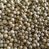 Jual Merica Bulat /White Pepper Whole / Lada Putih Utuh / Biji Merica ...