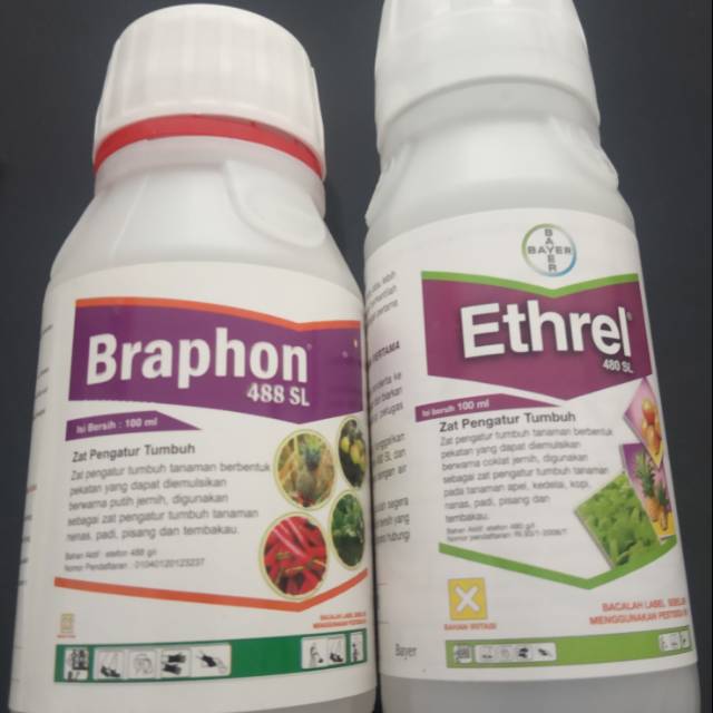 Jual ZPT Ethrel 480 SL dan Braphon 488 SL Cepha bibit biang bahan ...