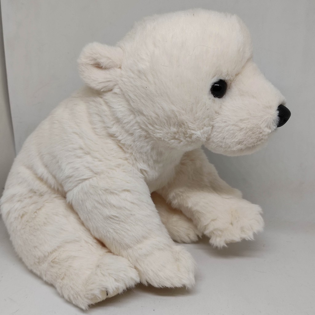 Jual Boneka Kangguru/Polar Bear/Belut Moray Hijau (M) | Shopee Indonesia