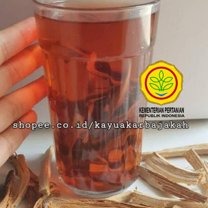Jual kayu akar bajakah kalimantan 100% asli ( 200 gram) | Shopee Indonesia