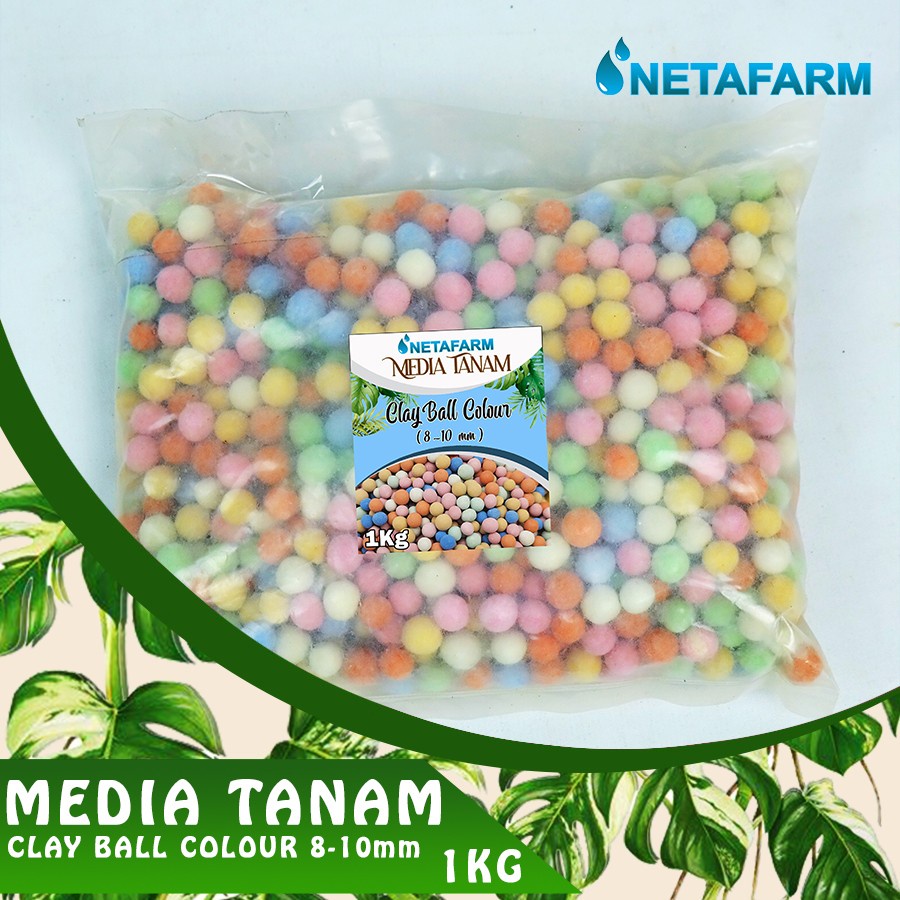 Jual LECA CLAY BALL CERAMSITE Hydroton Mix Color 8-10mm - 1KG | Shopee ...