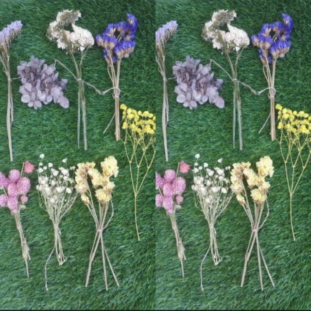 Jual aneka jenis bunga kering matahari rumput (siap kirim) | Shopee ...