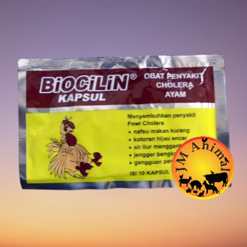 Jual BIOCILIN 10 KAPSUL OBAT KOLERA CHOLERA JENGGER BENGKAK BIRU ...
