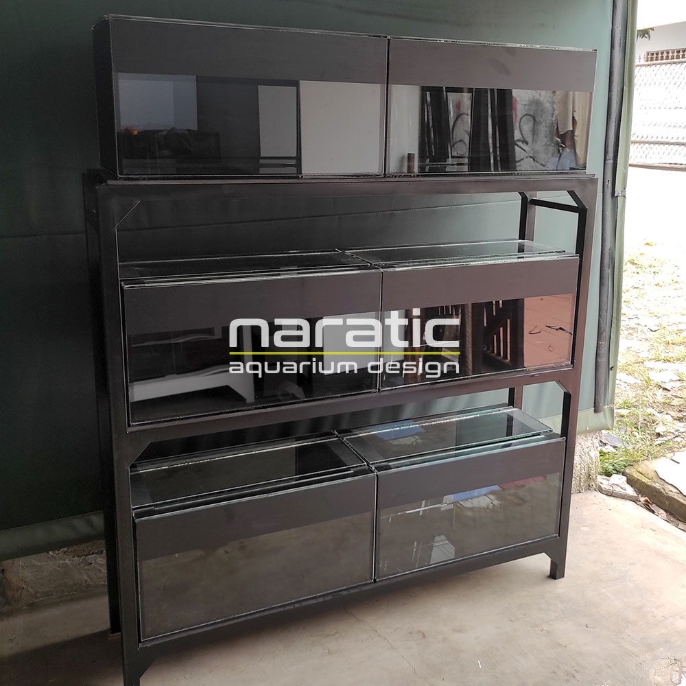 Jual Aquarium chana 60x30x30 8mm & rak holo 4x4 3 susun | Shopee Indonesia