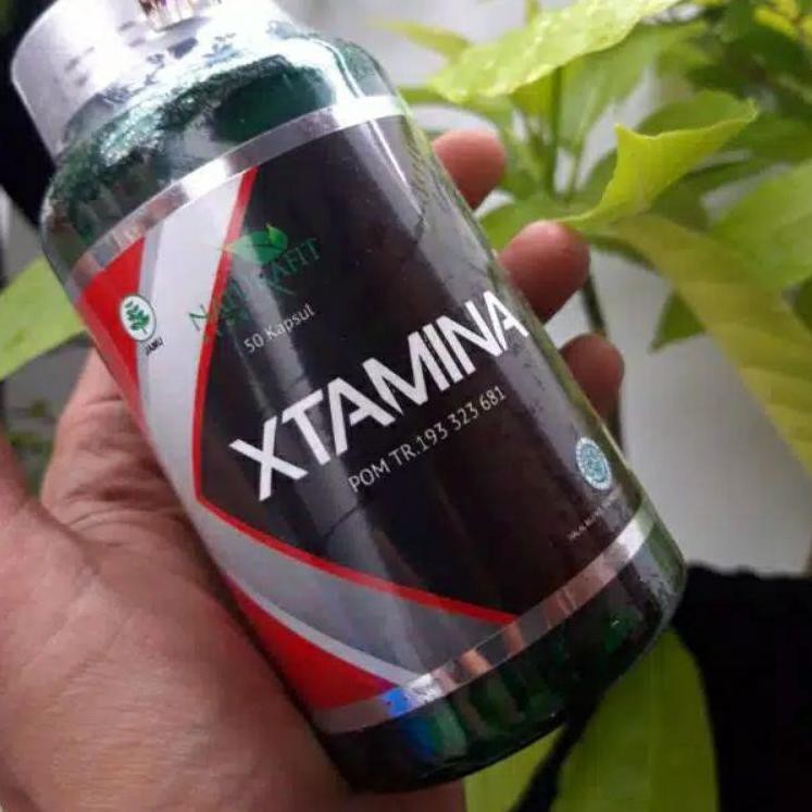 Jual Y80 X-TAMINA Herbal Stamina Q0S (Ready) | Shopee Indonesia