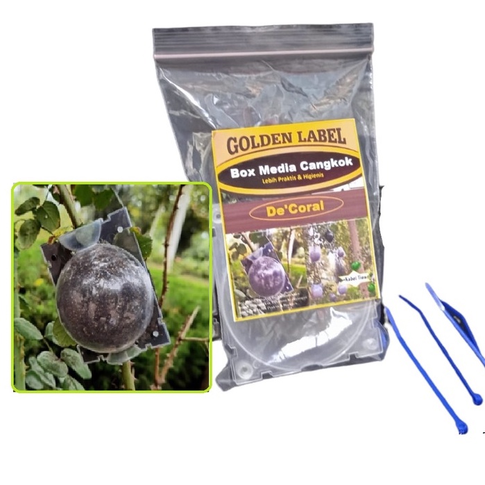 Jual Box Media Cangkok Tanaman|Wadah Cangkok|Kotak Cangkok|Bibit ...