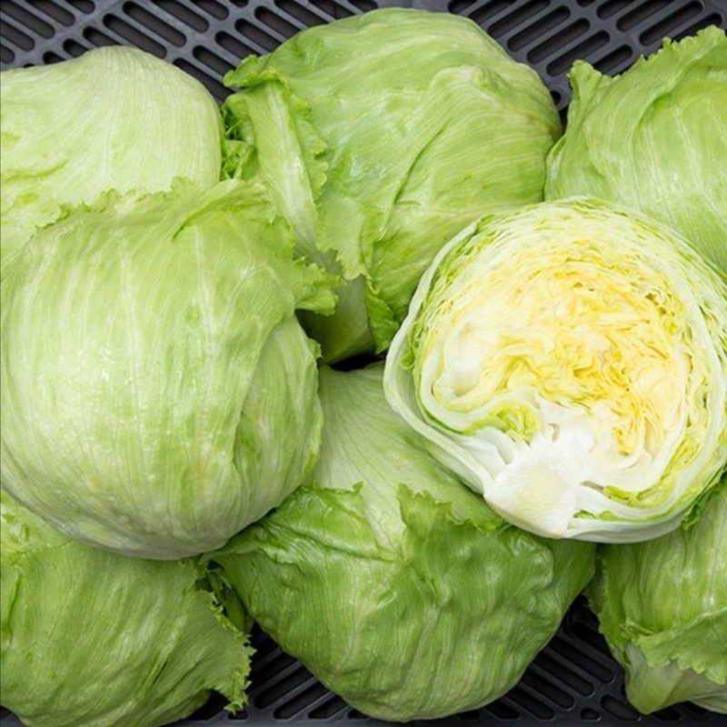 Jual Lettuce Head Fresh 1kg / Sayur selada segar organik 1kg | Shopee ...