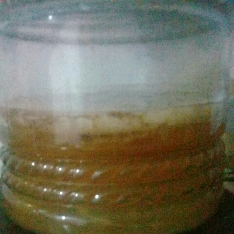 Jual jamur scubi untuk membuat teh kobuca | Shopee Indonesia