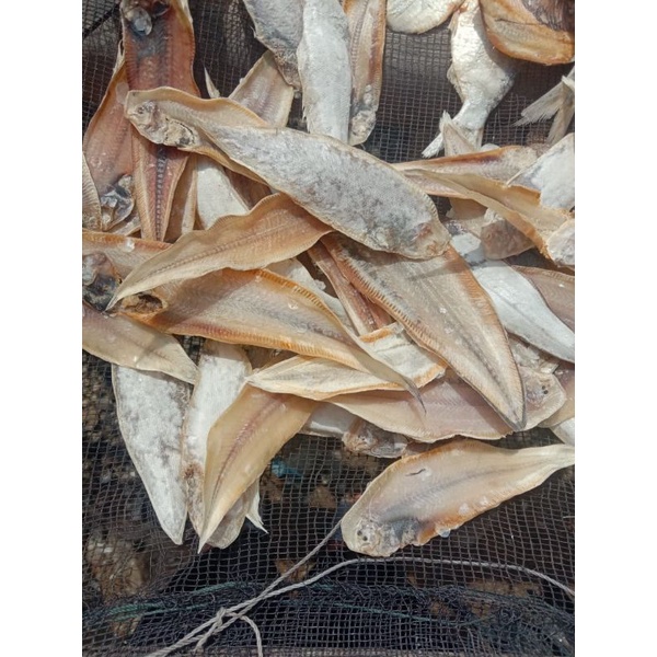 Jual ikan asin ilat-ilat/lidah 250 gr | Shopee Indonesia