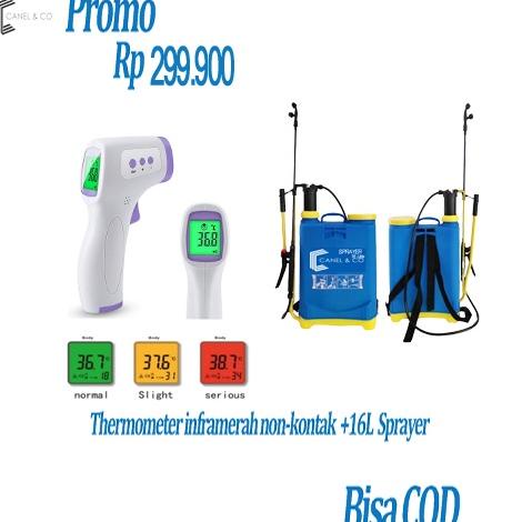 Jual CANEL & CO TANGKI SPRAYER MANUAL 16 LITER ALAT SEMPROTAN HAMA PADI ...